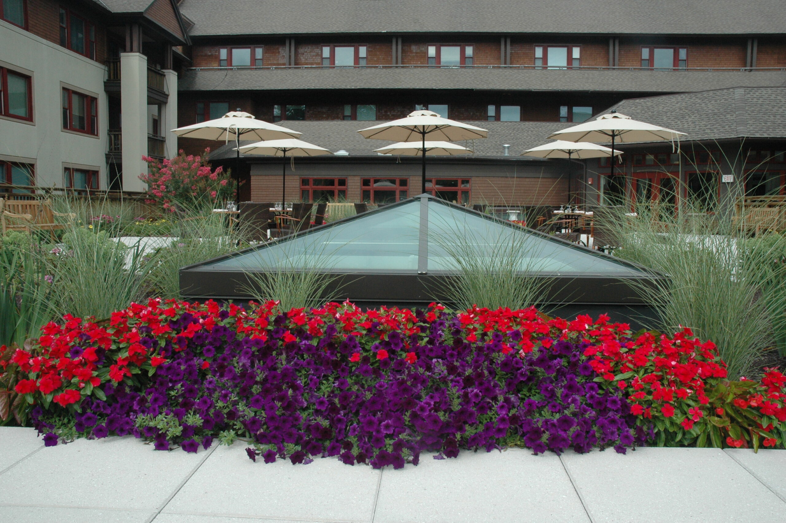 How beautiful landscaping improves health and well-being for seniors ...